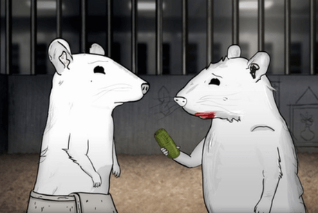 HBO GO ofrece tercera temporada de Animals - TV SERIES